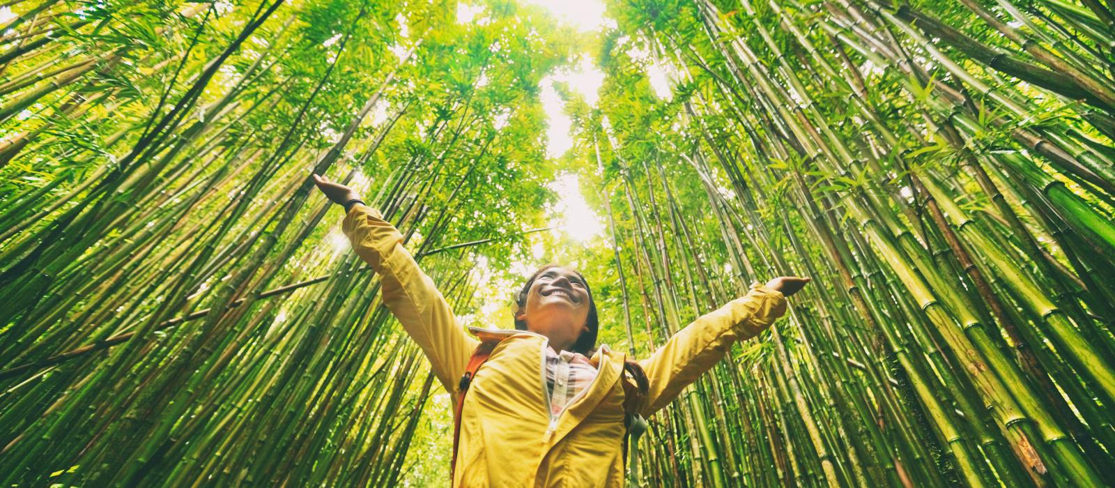 Home | NAAEE Conference